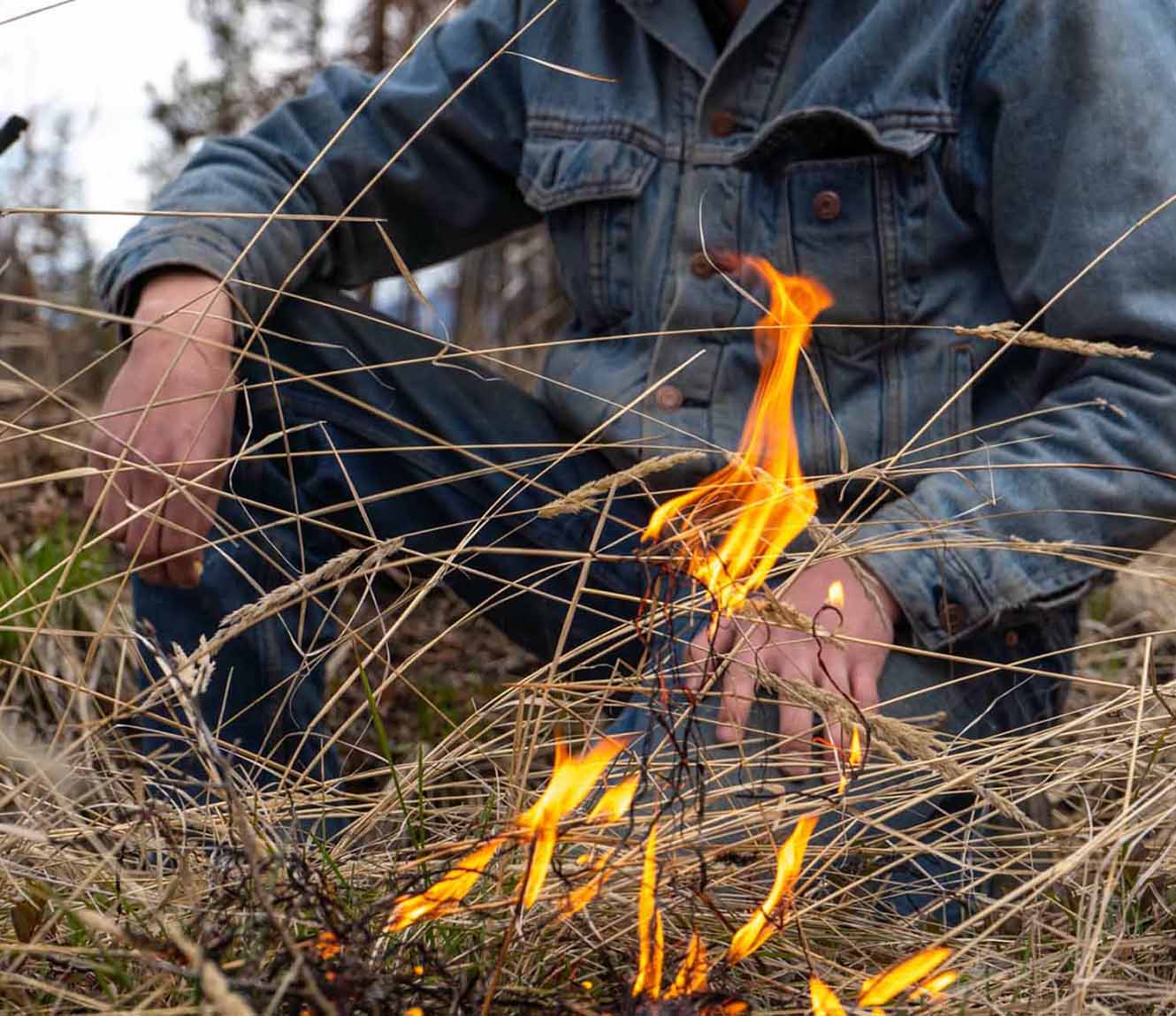Our Programs - BC First Nations Forestry Council