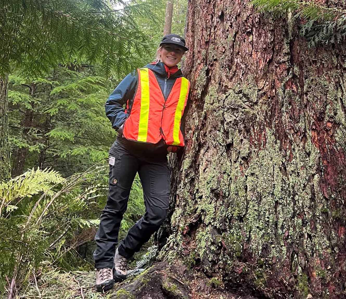 Our Programs - BC First Nations Forestry Council